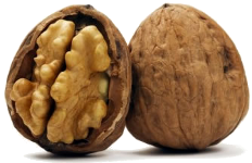 nutshell - Bull Run Unitarian Universalists (www2)